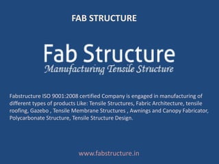 Fab Structure | PPT