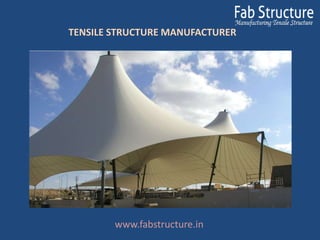 Fab Structure | PPT