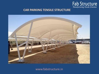 Fab Structure | PPT