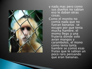 Fabula el mono y las bananas | PPTX