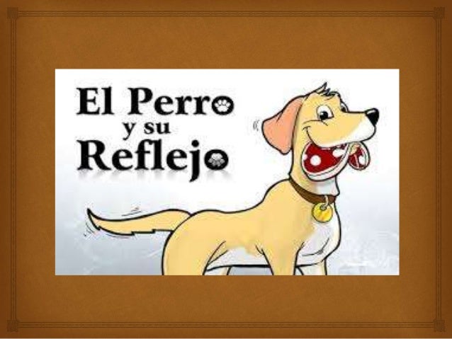 Fabulas El Perro Y Su Reflejo - abstractor