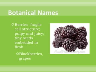 Fabulous fruits | PPTX