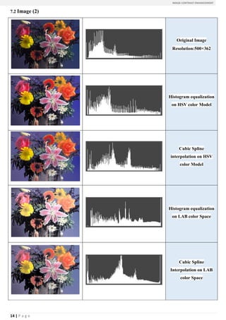Project report_DTRL_subrat | PDF