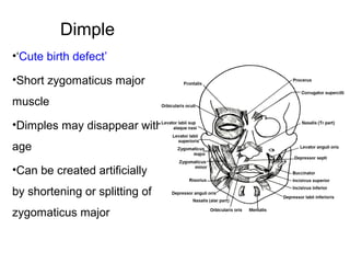 Muscles of facial expression | PPT