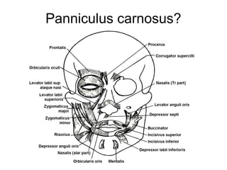 Muscles of facial expression | PPT