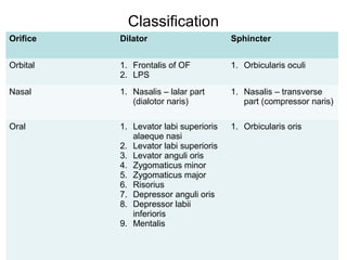 Muscles of facial expression | PPT