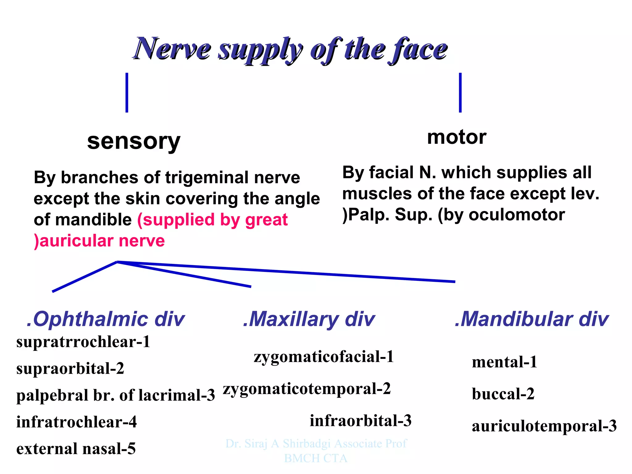 Face and lacrimal apparatus anatomy | PPT
