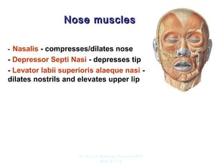 Face and lacrimal apparatus anatomy | PPT