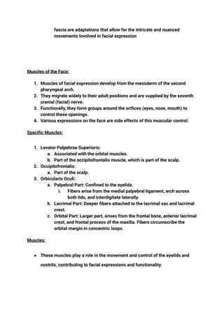 Face. head and neck anatomy pdf | PDF