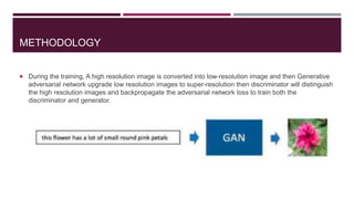 Face-GAN project report | PPTX