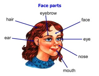 Face parts | PDF