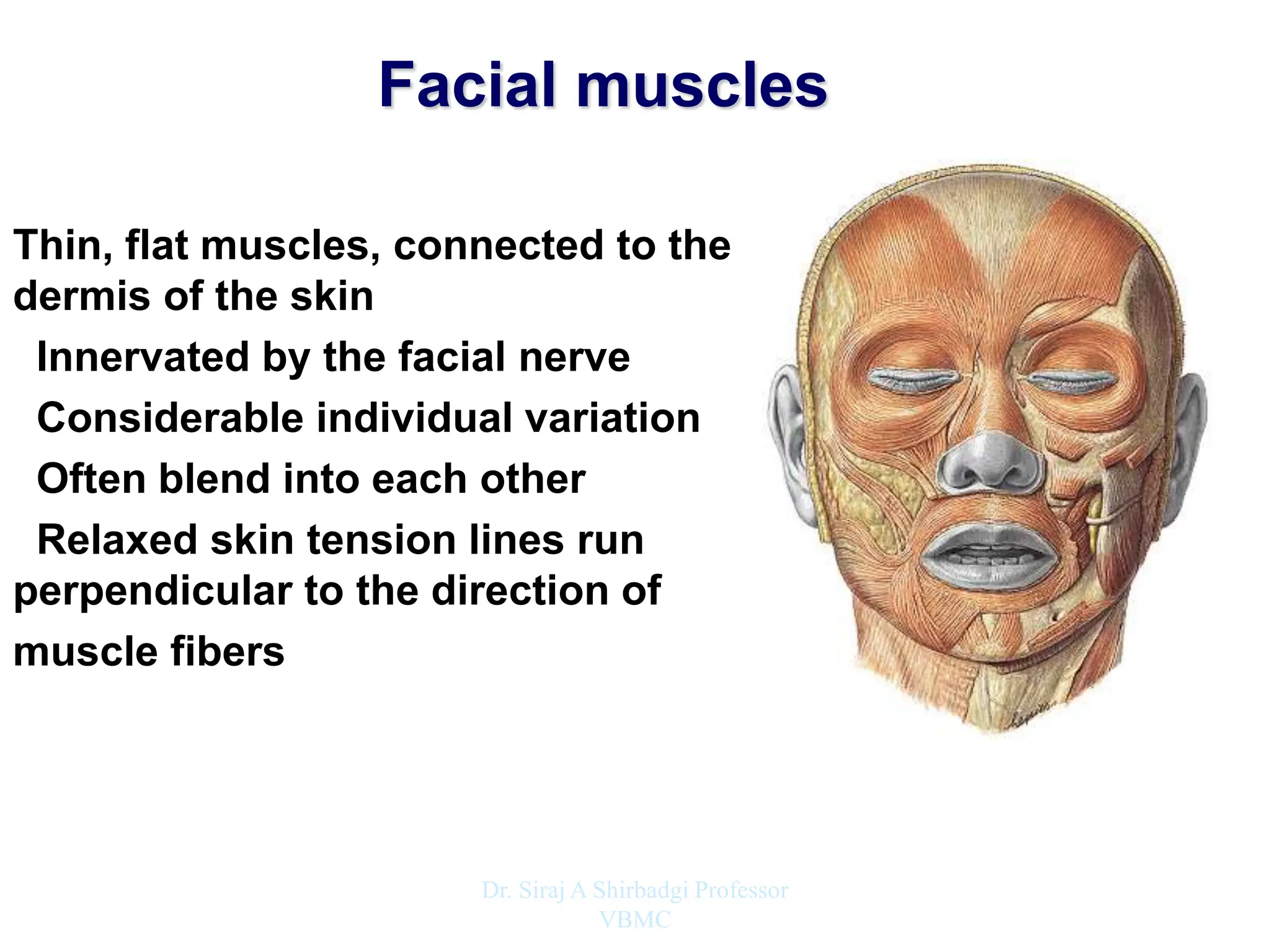 face- face anatomy muscles VBMSk (1).ppt | Ear, Nose and Throat ...