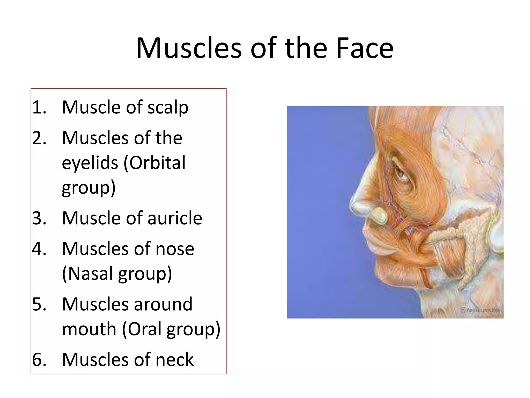 Anatomy- Muscles of Facial expression | PPTX