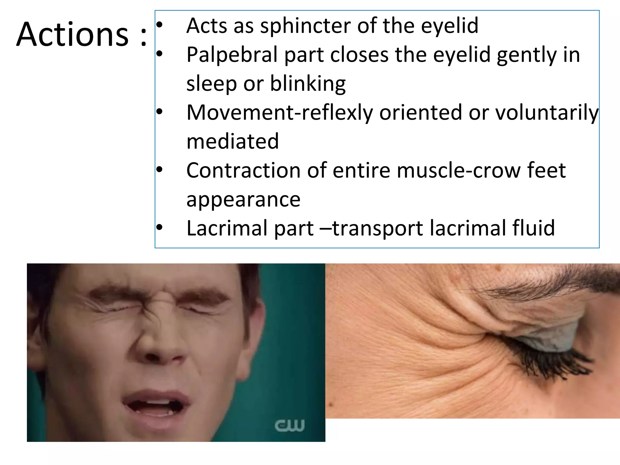 Anatomy- Muscles of Facial expression | PPTX