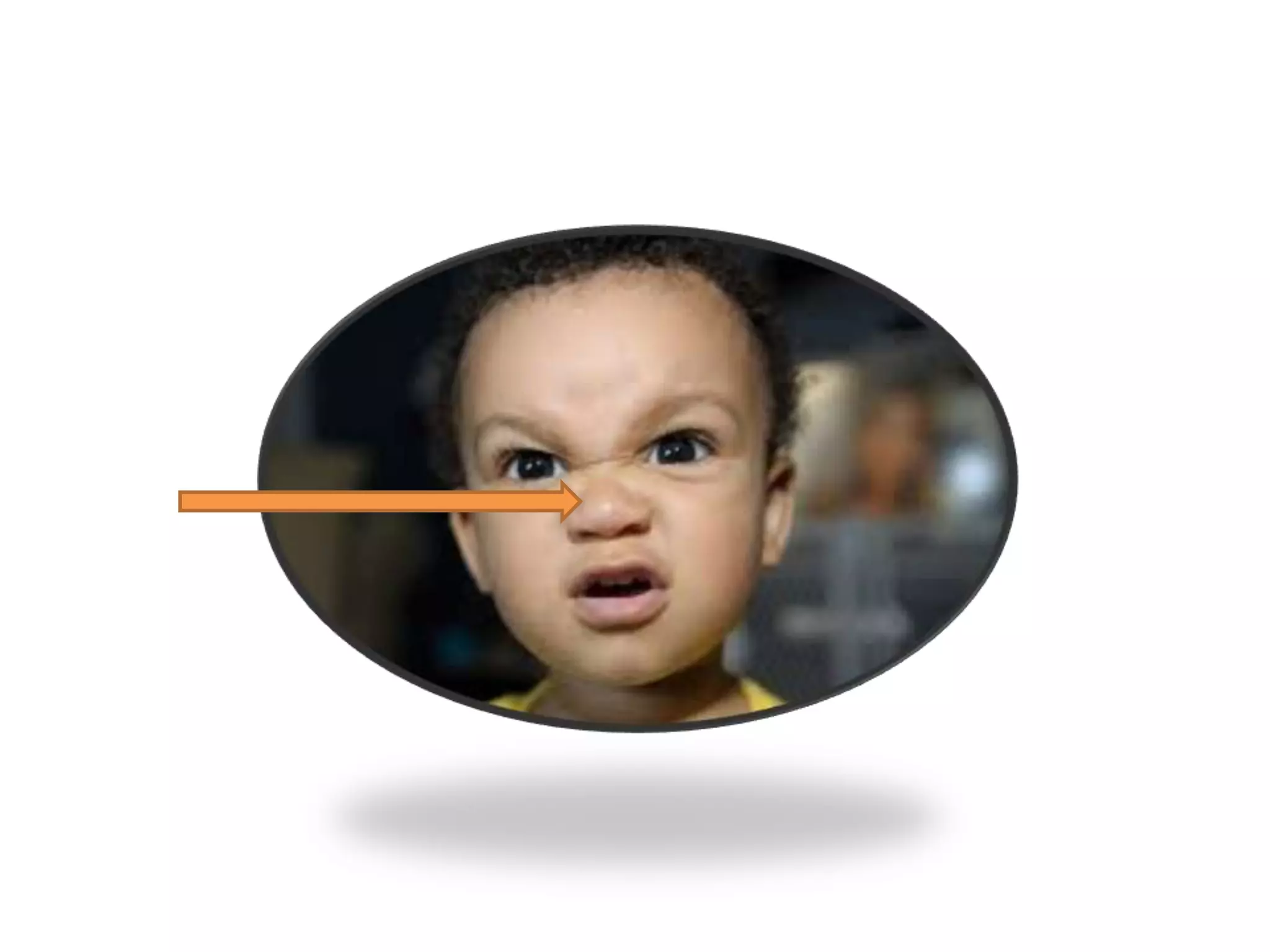 Anatomy- Muscles of Facial expression | PPTX