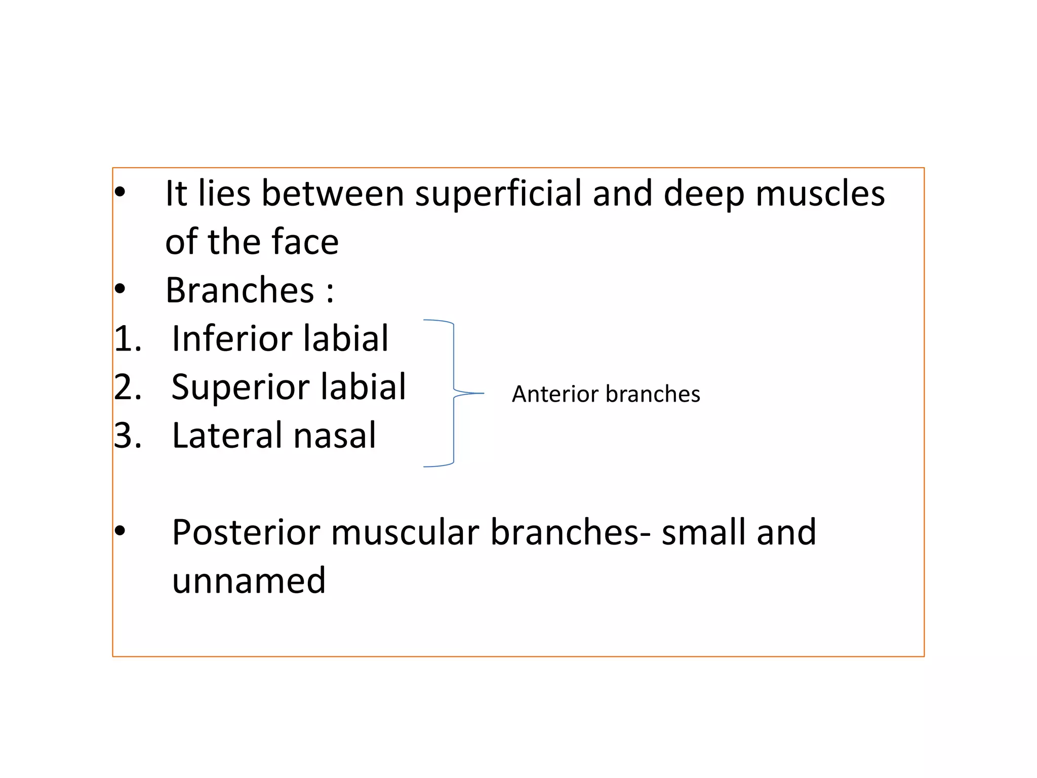 Anatomy- Muscles of Facial expression | PPTX