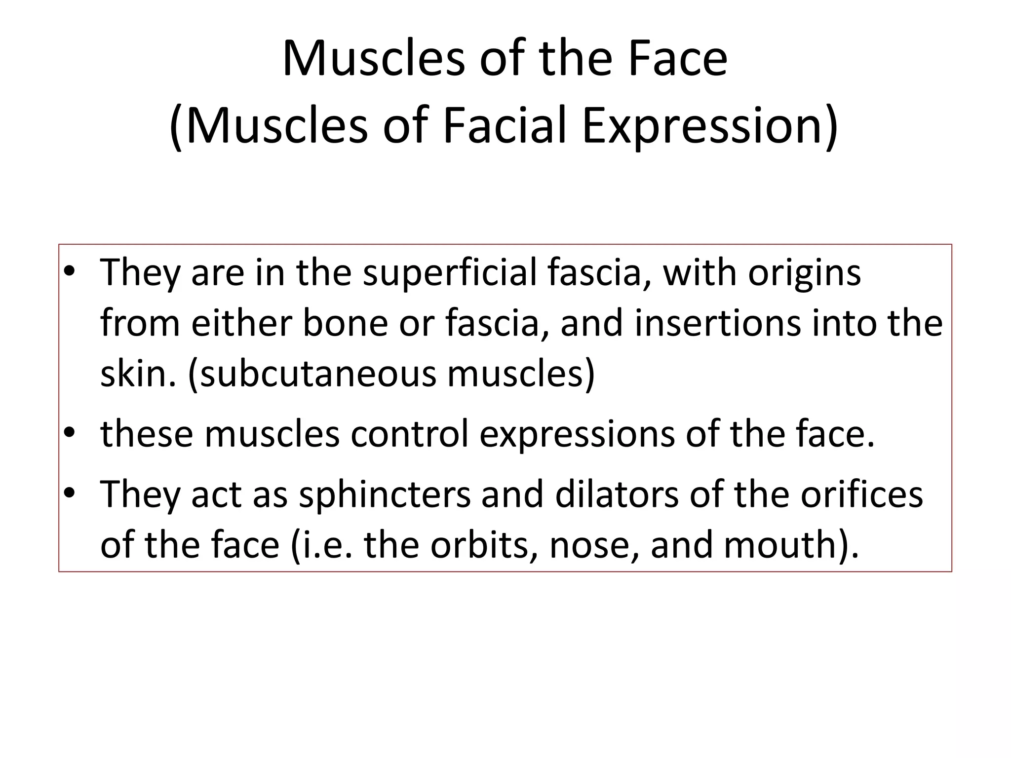 Anatomy- Muscles of Facial expression | PPTX