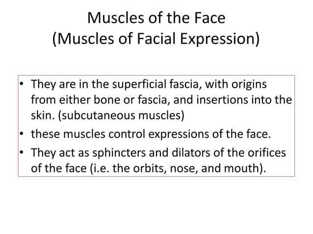 Anatomy- Muscles of Facial expression | PPTX