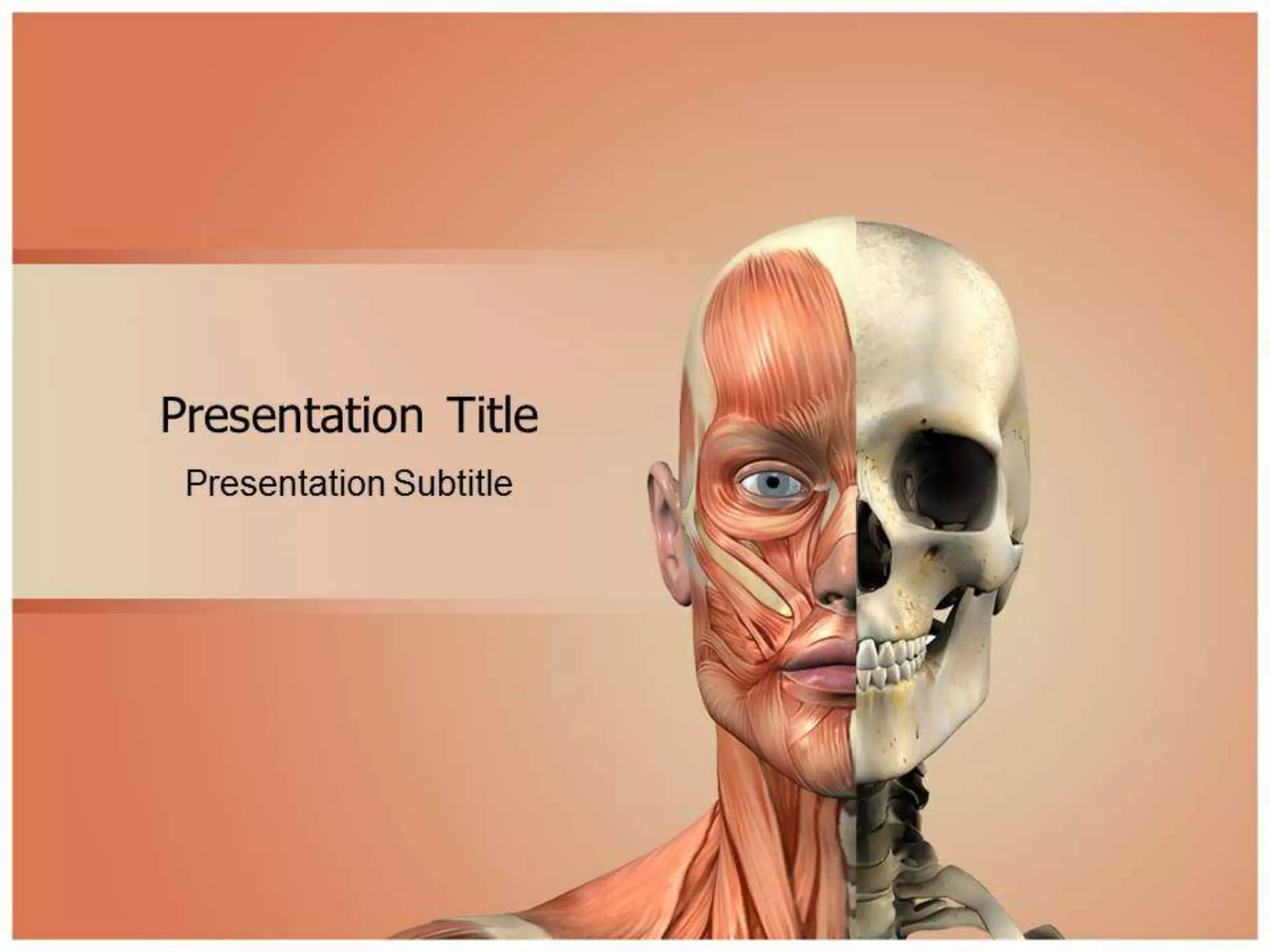Face Anatomy PowerPoint Templates | PPTX