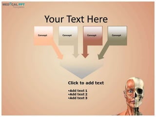 Face Anatomy PowerPoint Templates | PPTX