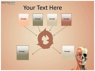 Face Anatomy PowerPoint Templates | PPTX