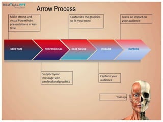 Face Anatomy PowerPoint Templates | PPTX