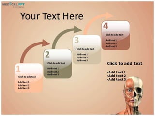 Face Anatomy PowerPoint Templates | PPTX