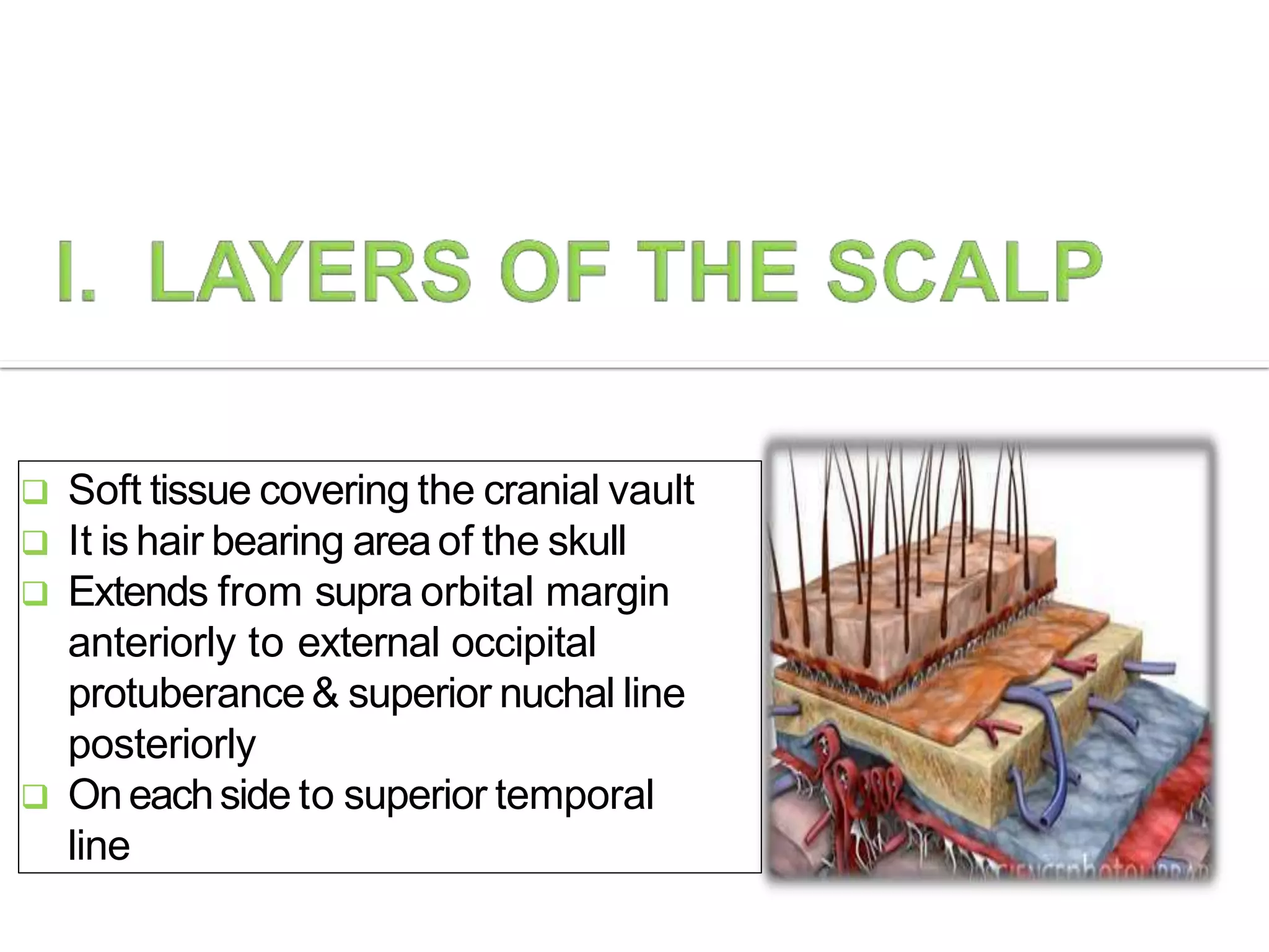 Face and scalp | PPTX