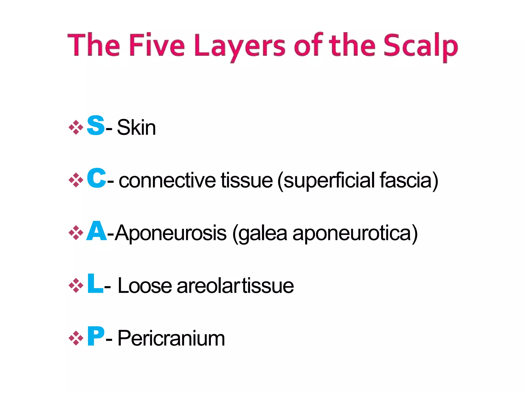 Face and scalp | PPTX