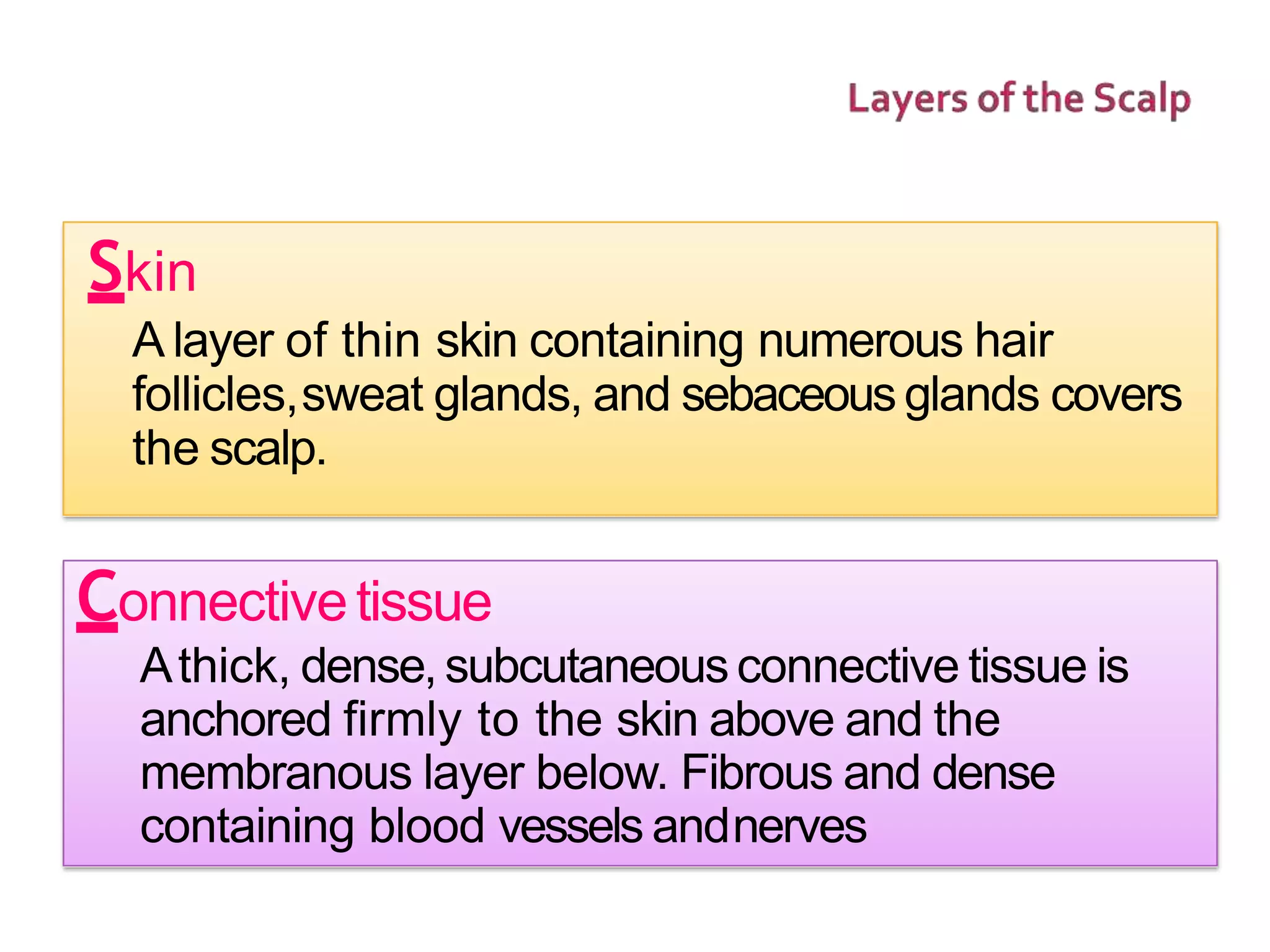 Face and scalp | PPTX