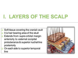 Face and scalp | PPTX