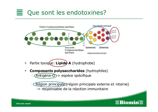 Les endotoxines