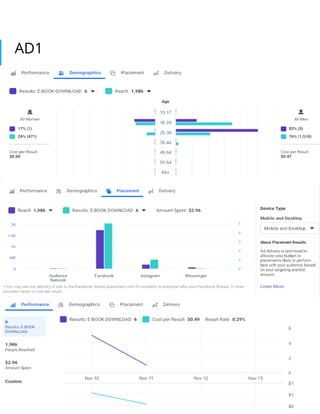 Facebook Ads campaign project | PDF