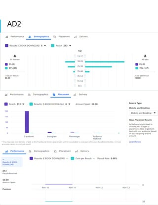 Facebook Ads campaign project | PDF