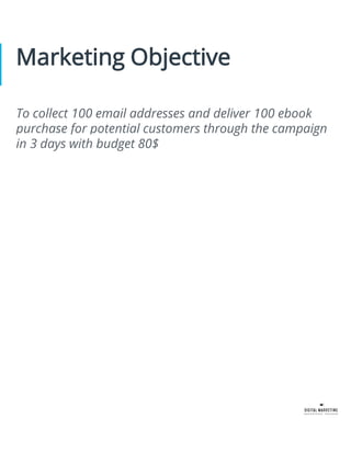 Facebook Ads campaign project | PDF