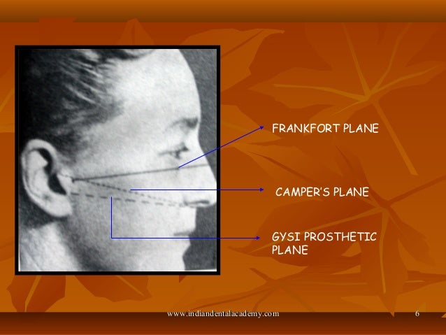 Facebow / dental courses