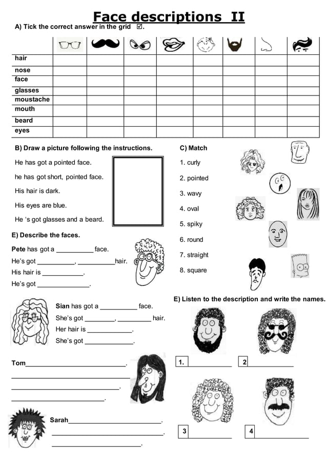 Face descriptions ii | DOCX