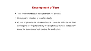 Face dev | PPTX | Pregnancy | Reproductive Health