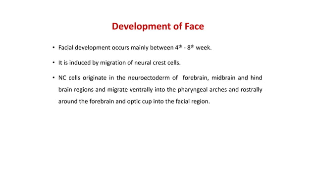 Face dev | PPT