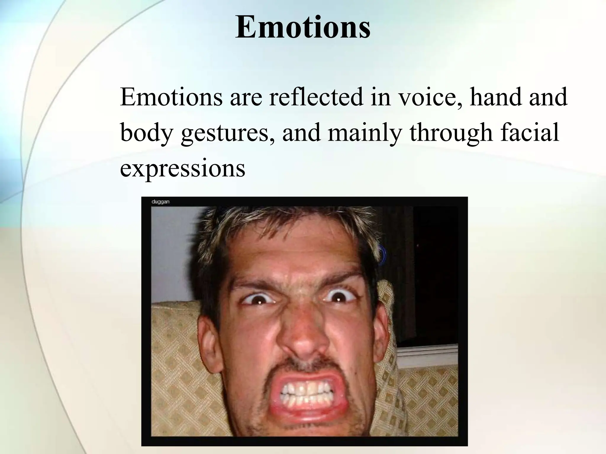 computer mini face emotion recognition.ppt