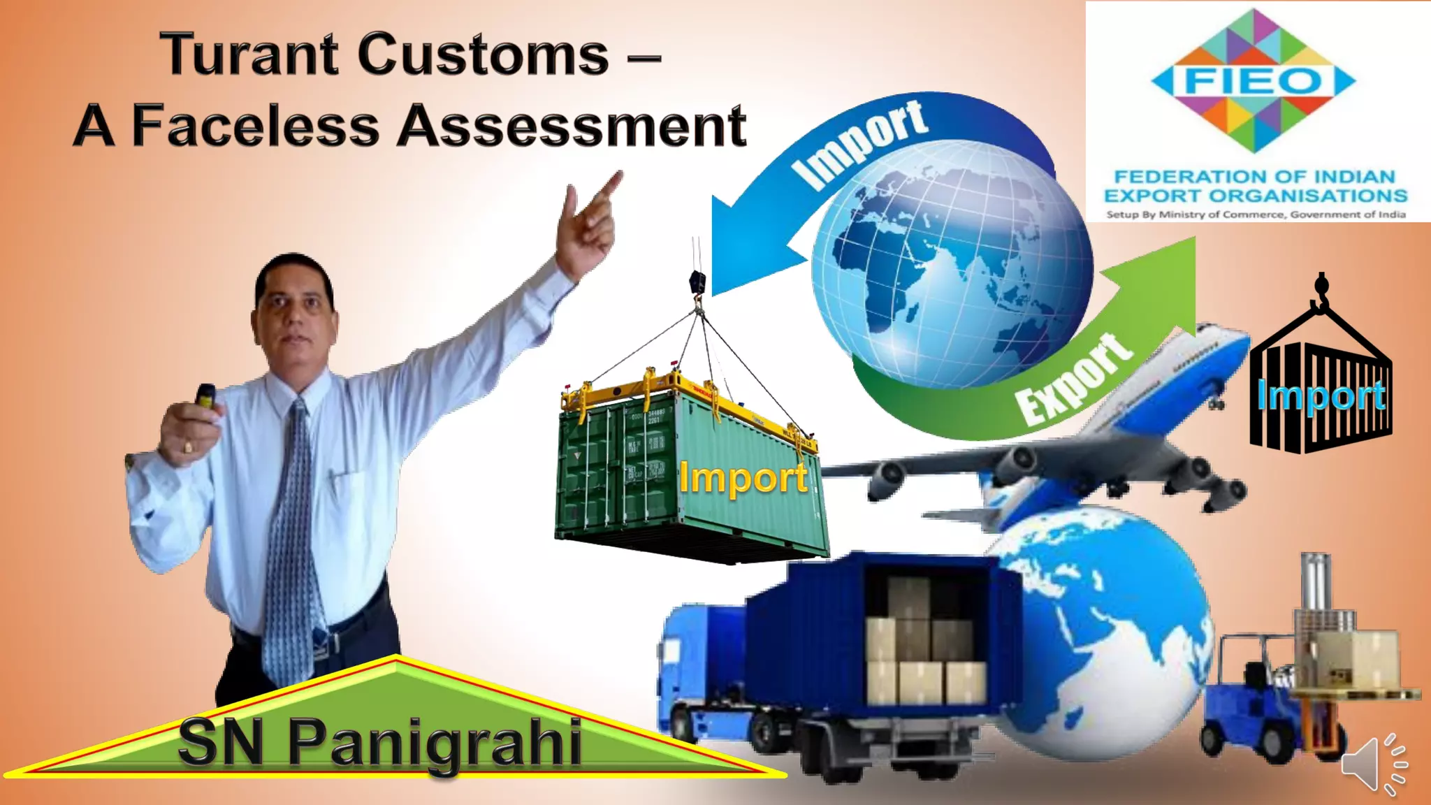 #Turant Customs : A Faceless Assessment by SN Panigrahi | PDF