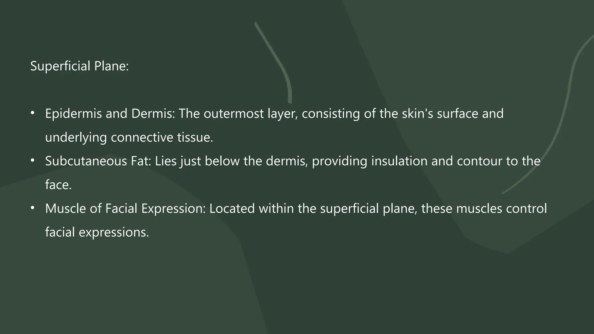 Facelift face lift Facelift face lift Facelift face lift | PPTX