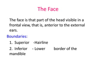 Face mfe | PPTX