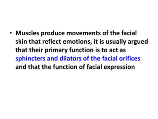 FACE MUSCLES | PPTX