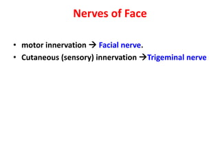 FACE MUSCLES | PPTX