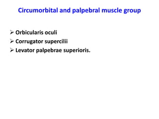 FACE MUSCLES | PPTX