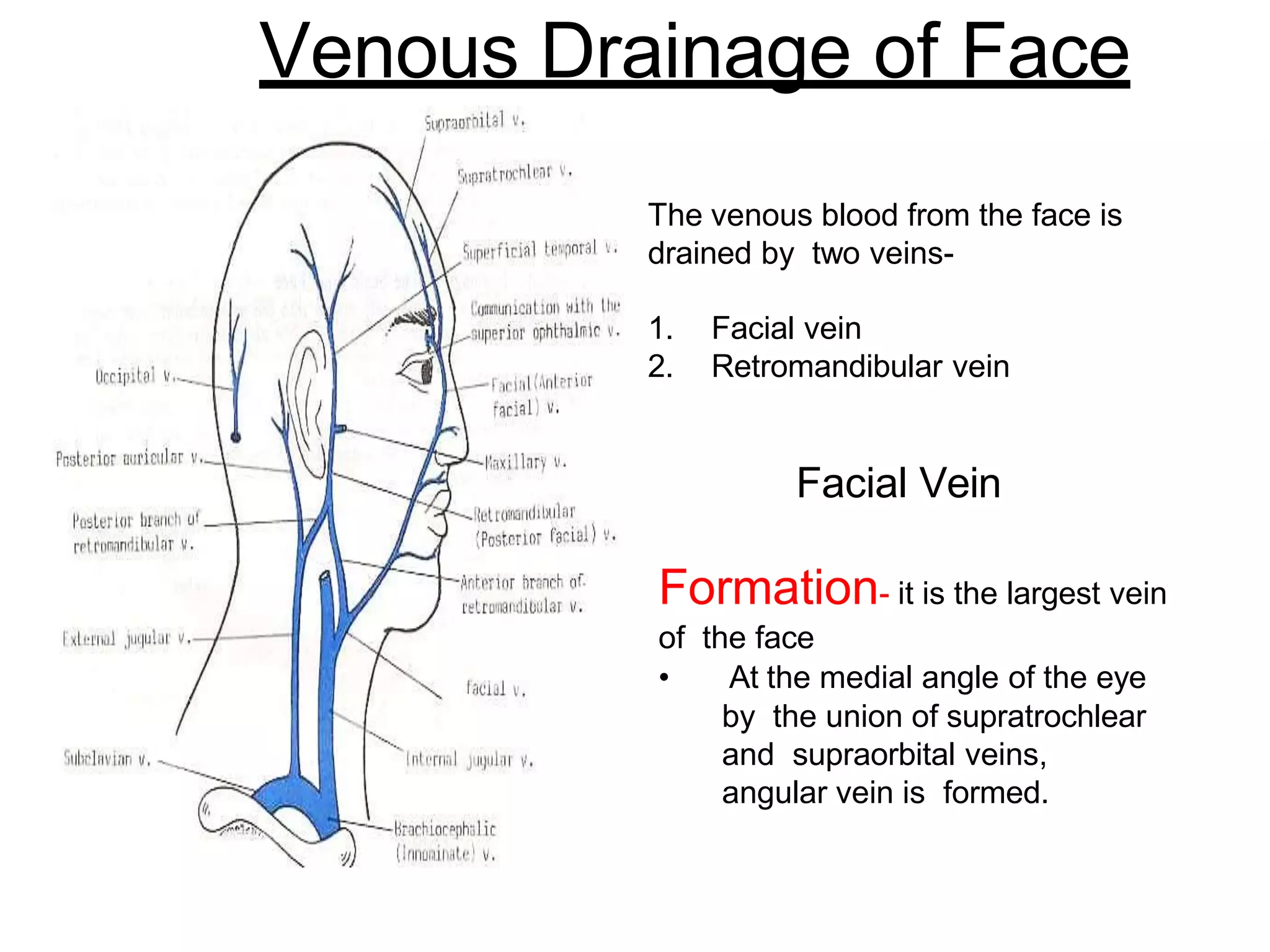 Facenervevessels dr.Meher | PPTX