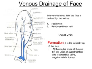 Facenervevessels dr.Meher | PPTX
