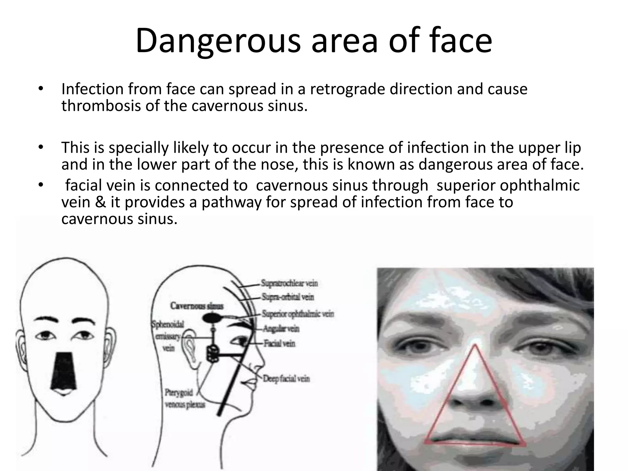 blood supply nerve supply of face | PPTX