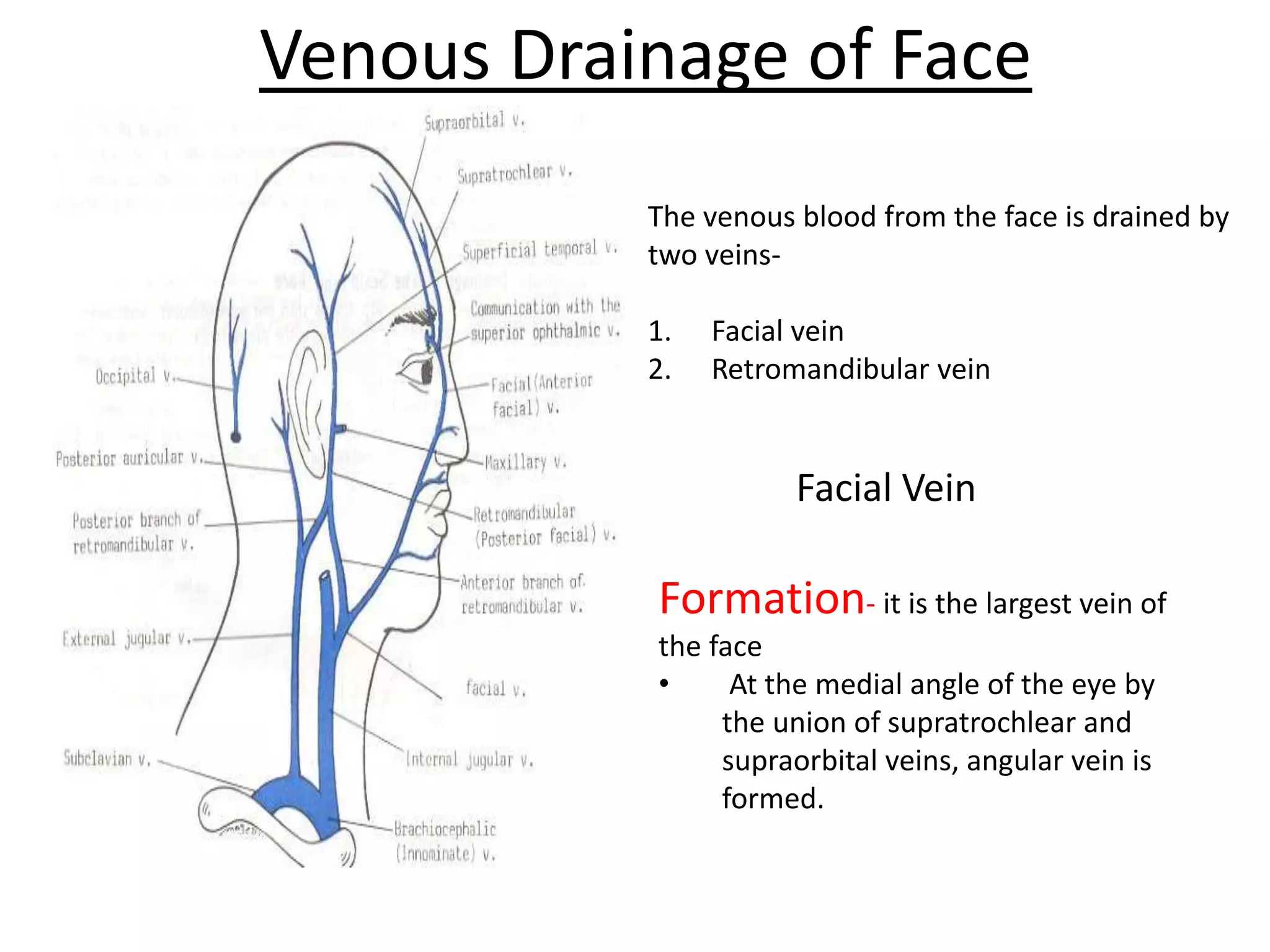 blood supply nerve supply of face | PPTX